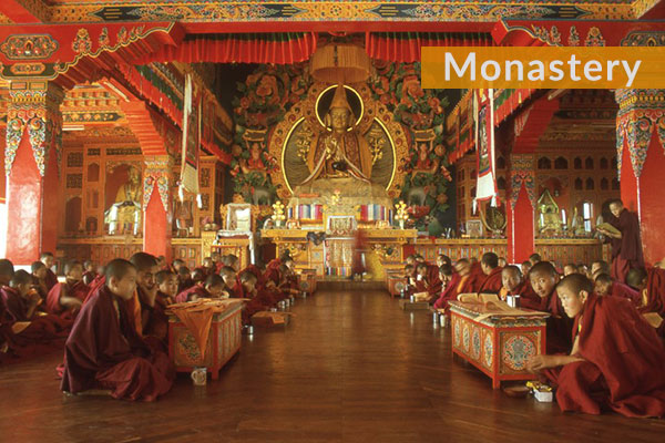 Nepal Monastery Volunteer Program - NVDP Volunteer - N.V.D.P